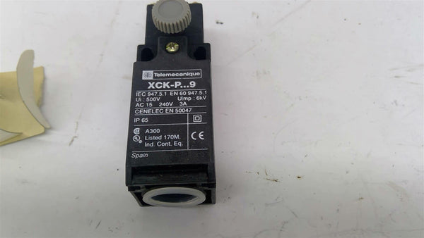 Telemecanique XCK P5109 Limit Switch – BME Bearings and Surplus